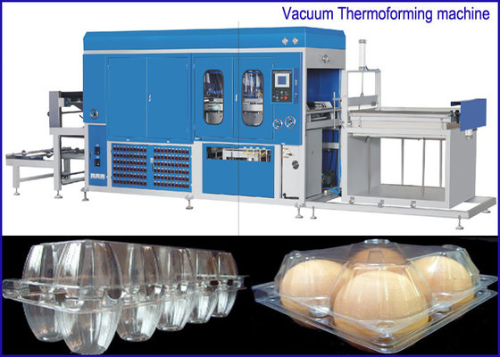 China Automatic Plastic Vacuum Thermoforming Machine For Egg trays / High efficiency supplier