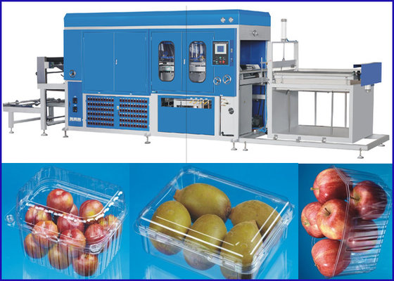 China Plastic sheet Vacuum Thermoforming Machine For Super market Fruit and Vege containers supplier