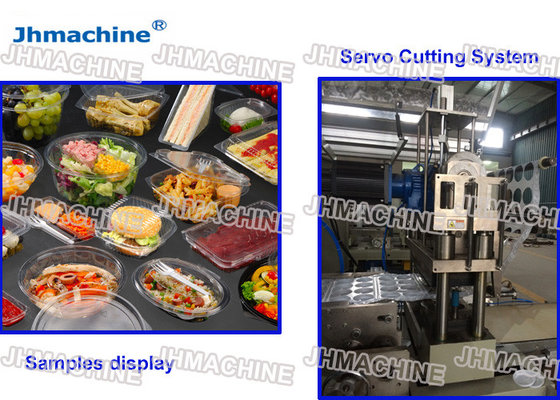 2016 New Model Automatic  Thermoforming machine within cutting and stacking device big forming Area supplier